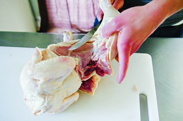 How to Cut a Whole Chicken Into Pieces – Mother Earth News
